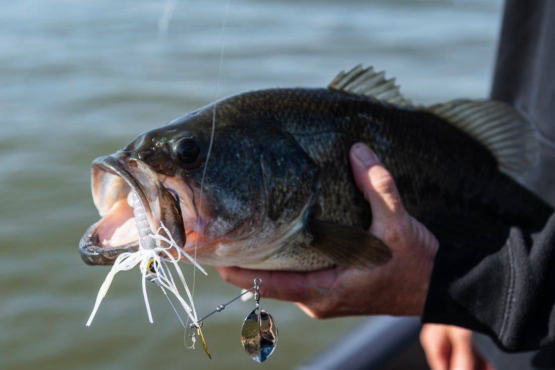 The Tight Rope Bite Getter Is Here! – Mystery Tackle Box