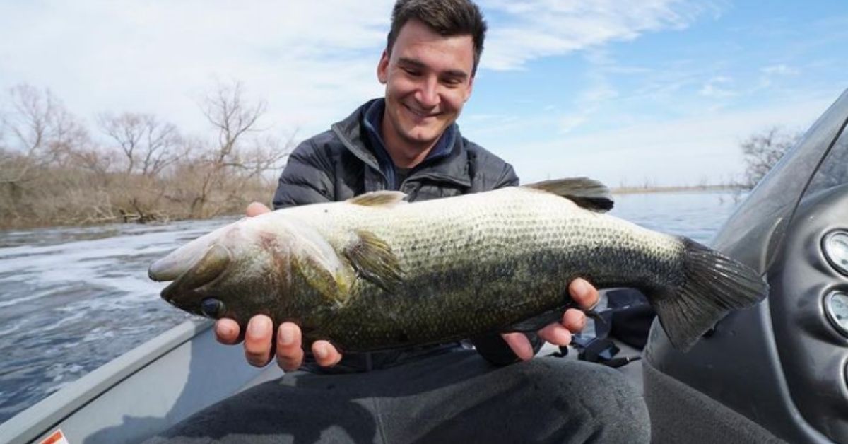 Top To Bottom Spring Fishing Tips To Catch You More Bass – Mystery ...