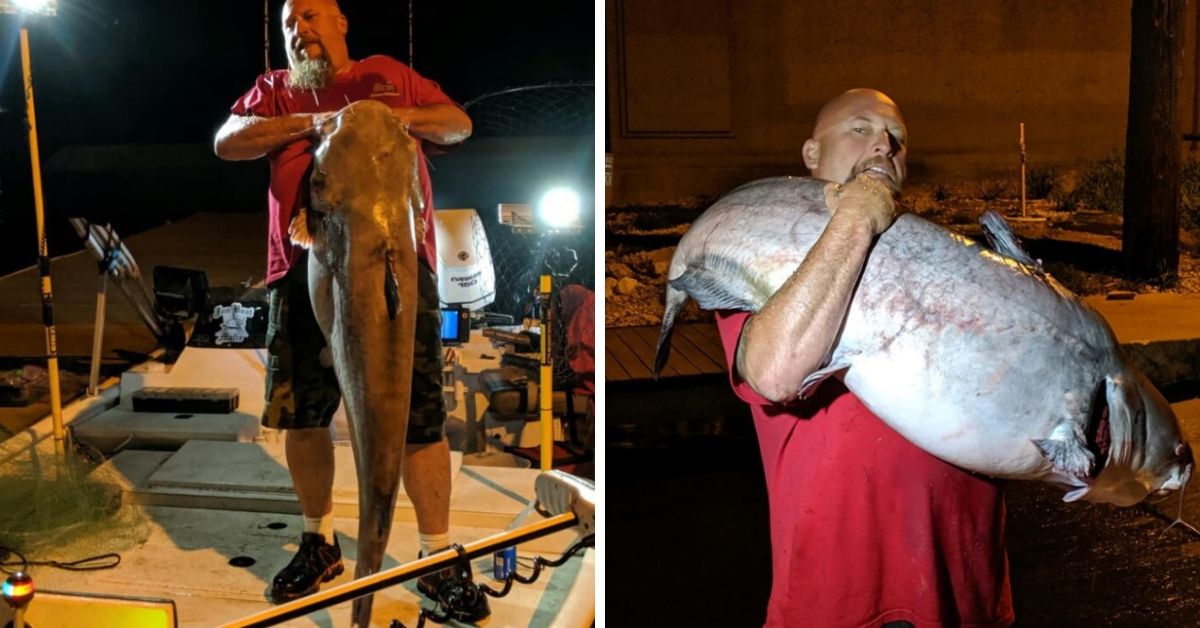 A GIANT 98 Pound Catfish = New Lake Record – Mystery Tackle Box