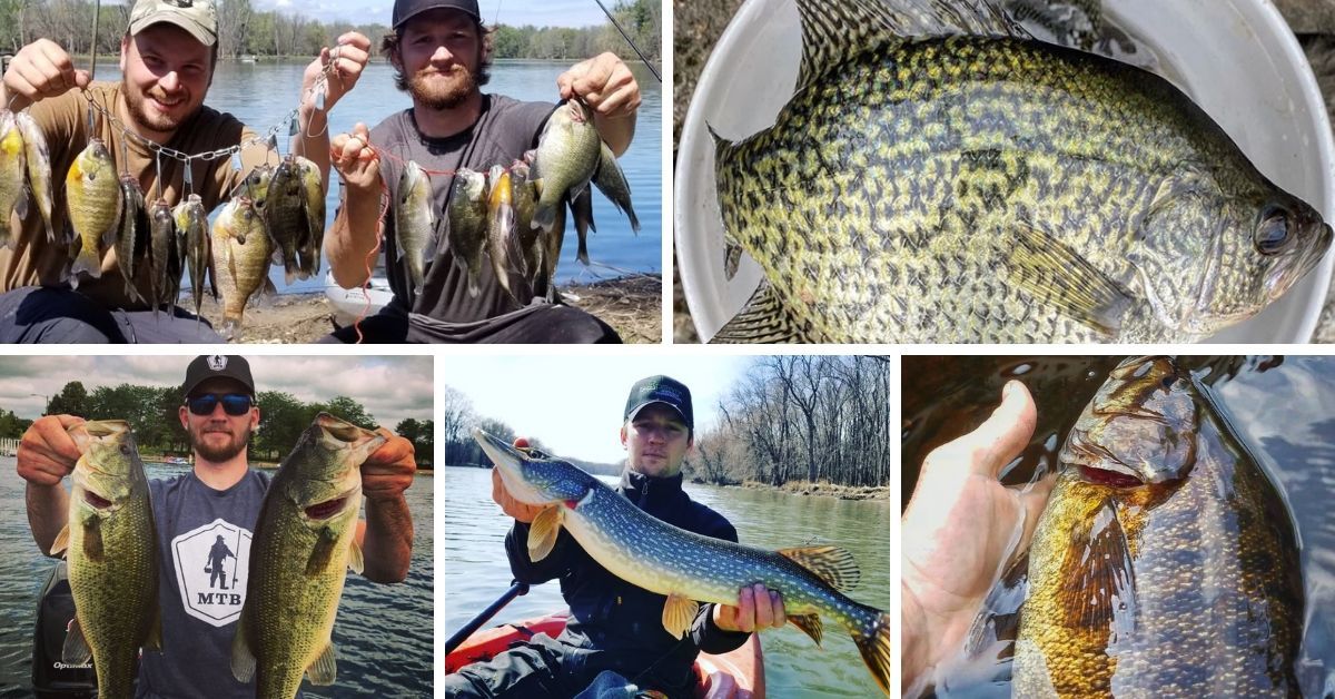 Fishing Wisconsin In The Spring, The Easiest Way To Catch As Many Fish ...