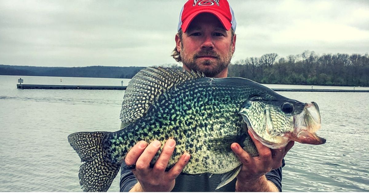 The State Crappie Record For Every State In America – Mystery Tackle Box