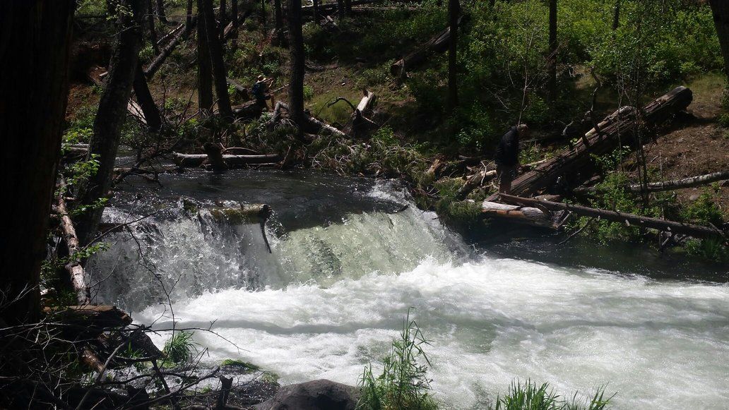 How To Catch Trout In Heavy Current – Mystery Tackle Box