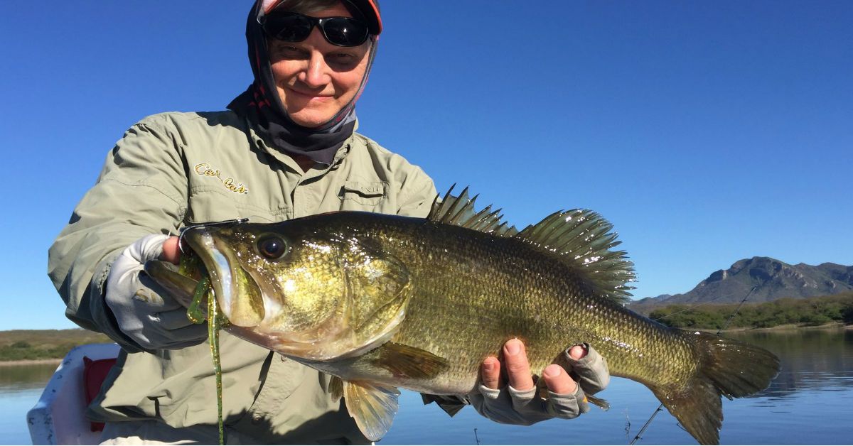 The Top 10 Lakes To Catch A Trophy Bass This Year – Mystery Tackle Box