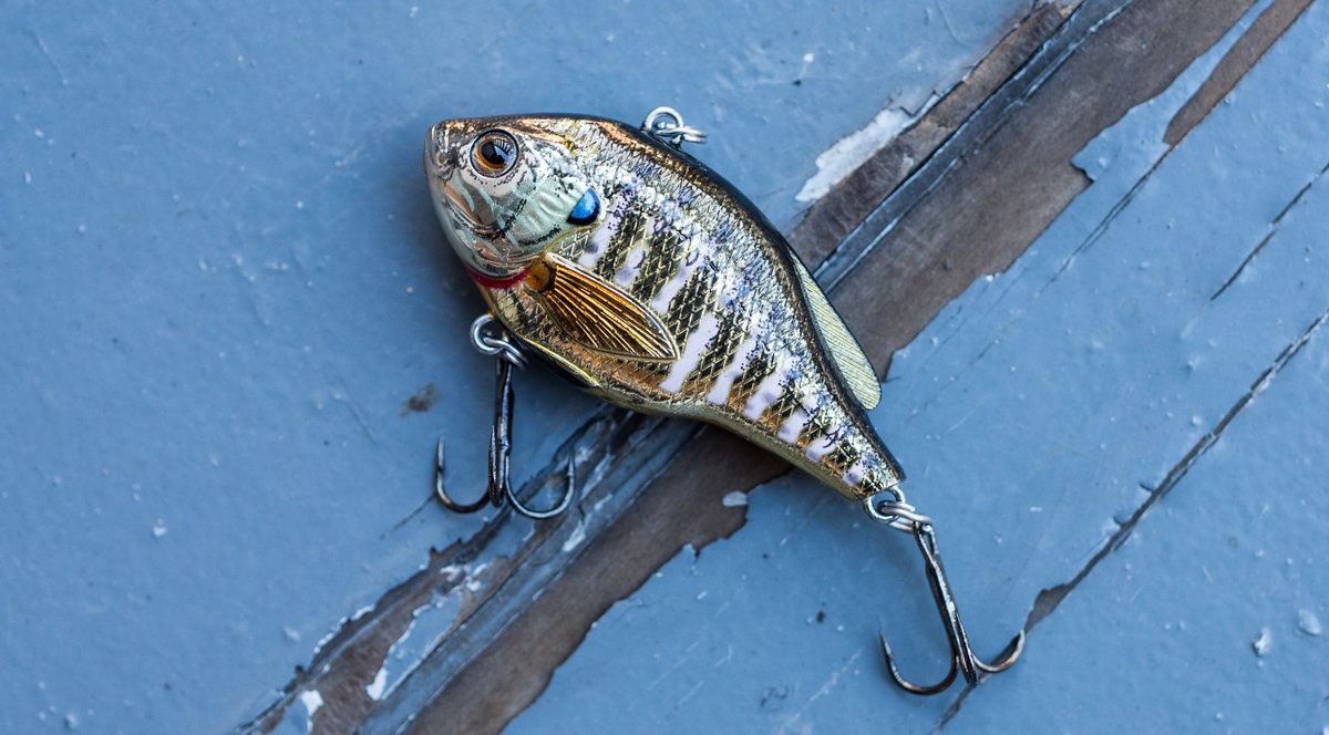 The 3 Best Ways To Fish Grass In The Summertime – Mystery Tackle Box