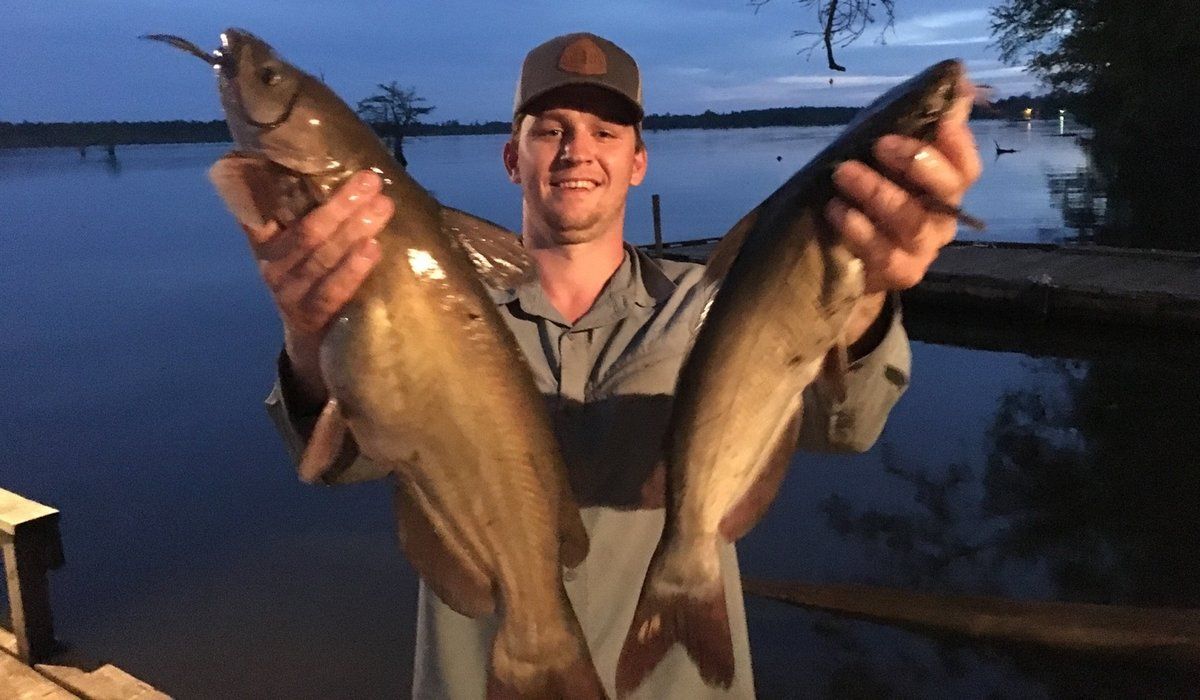 Catfishing Gone Wrong: True Fishing Stories From The MTB Team – Mystery ...