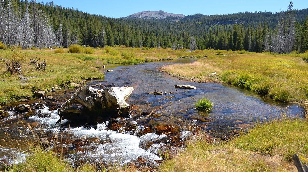 How To "Read The Water" For Trout – Mystery Tackle Box