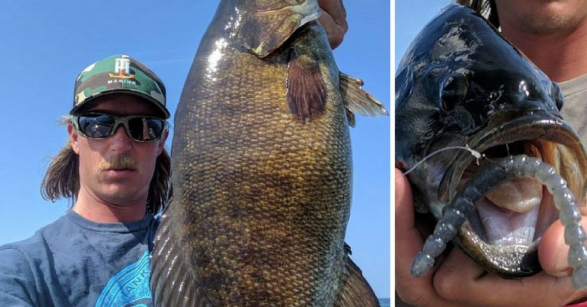 Drop Shot Smallmouth Tips: Where, When & How – Mystery Tackle Box