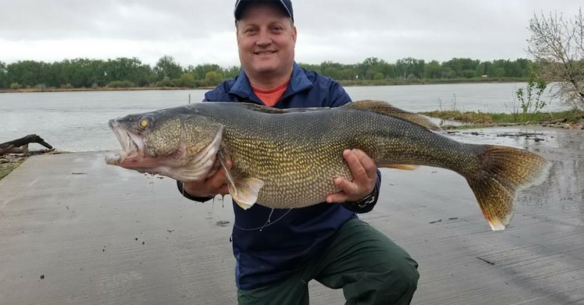 Vertical Jigging For Walleye: The When, Where, How, and Why – Mystery ...